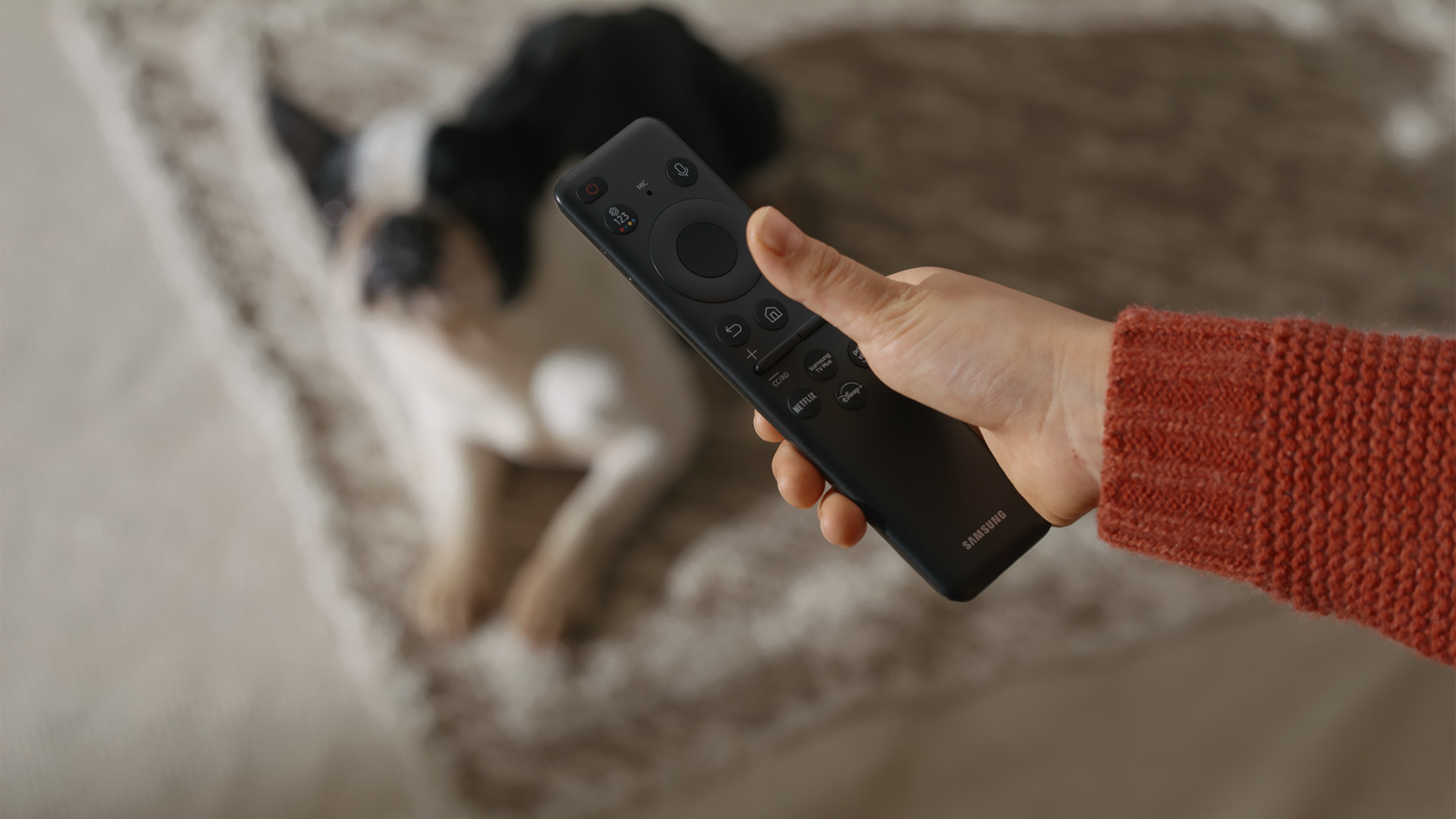 The SolarCell Remote Powered by Light | Feature Story | Focus ...